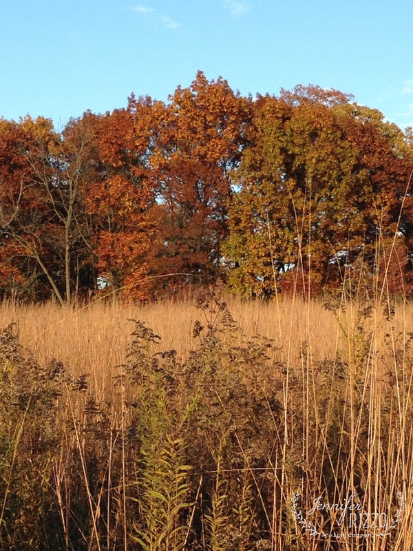 midwest-fall-prairie-land - Jennifer Rizzo