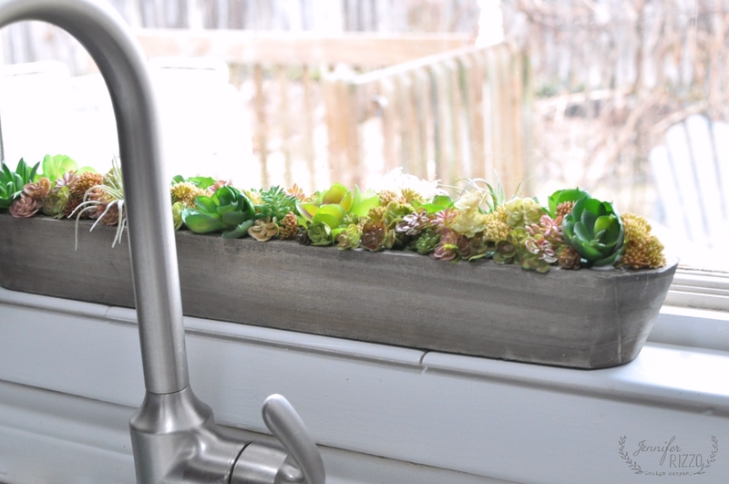 Succulent windowsill planter for winter color - Jennifer Rizzo
