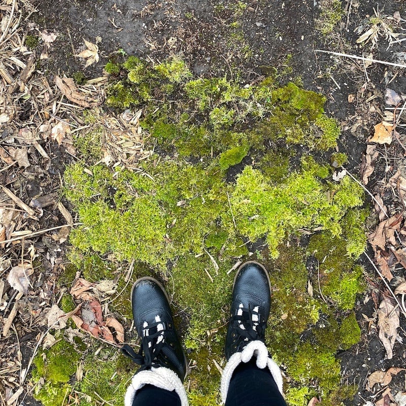 Creating a Patchwork DIY Moss Path - Jennifer Rizzo