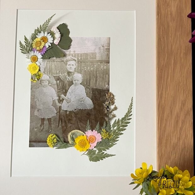 Framed Dried Flower Vintage Photo Collage DIY - Jennifer Rizzo