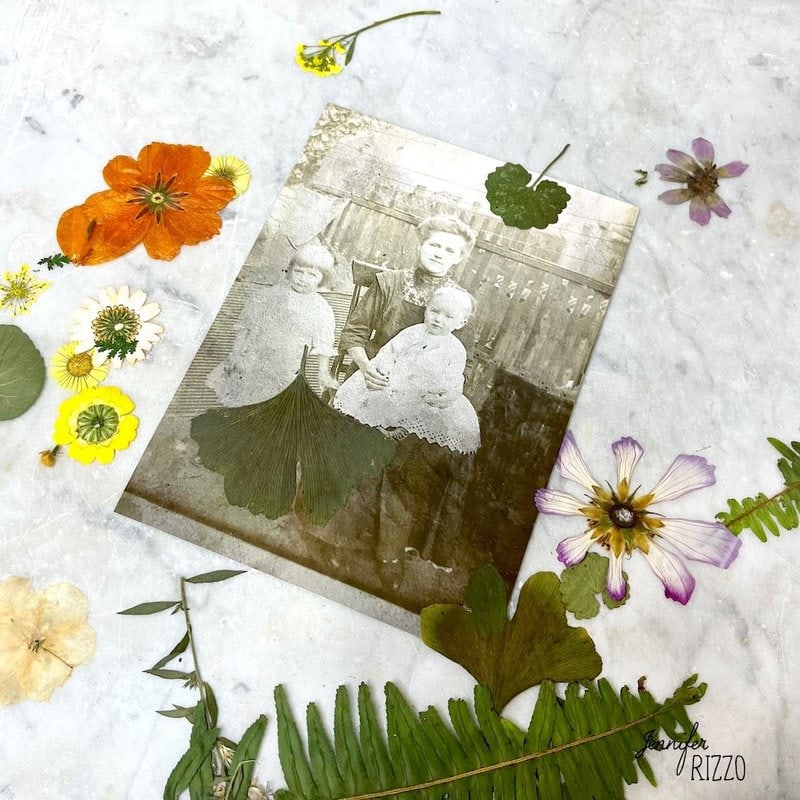 Framed Dried Flower Vintage Photo Collage DIY - Jennifer Rizzo